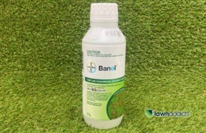 Banol Turf & Ornamental 1 Litre - Pythium Fungicide - Lawn Addicts