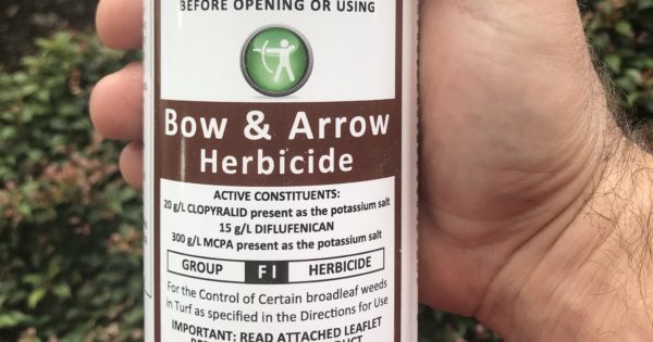 Bow & Arrow 500ml - Buffalo Safe Broadleaf Herbicide - Lawn Addicts