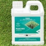 Poa Chek 1 Litre - Winter Grass Herbicide - Lawn Addicts
