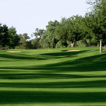 Pinnacle III (Single Cultivar Perennial Rye Grass) - Lawn Addicts