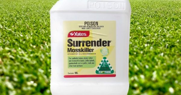 Surrender 10 Litre - Moss and Aglae Algaecide - Lawn Addicts