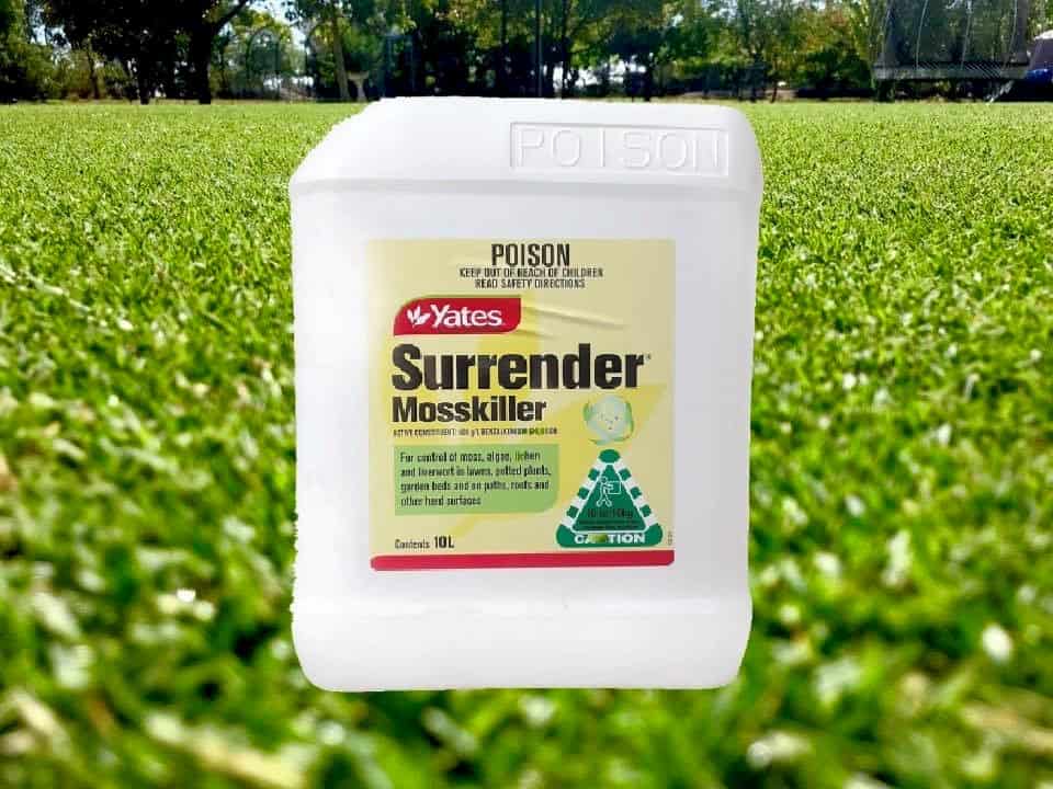 Surrender 10 Litre - Moss and Aglae Algaecide - Lawn Addicts