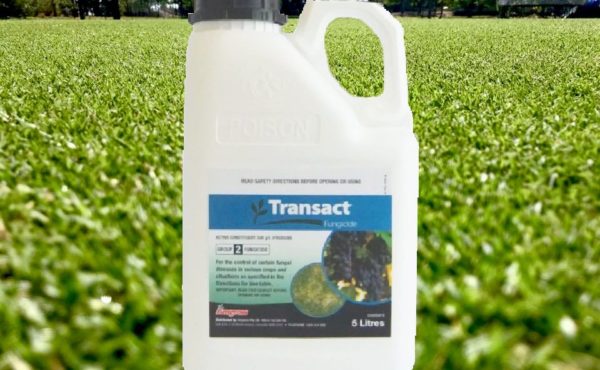 Transact 500 5 Litre - Broad Acre Fungicide - Lawn Addicts