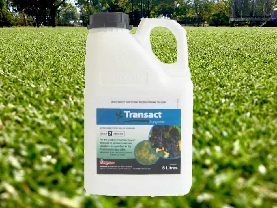 Transact 500 5 Litre - Broad Acre Fungicide - Lawn Addicts