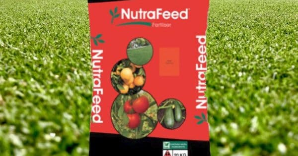 Nutrifeed 20 25 kilogram - Soluble Fertilisers - Lawn Addicts