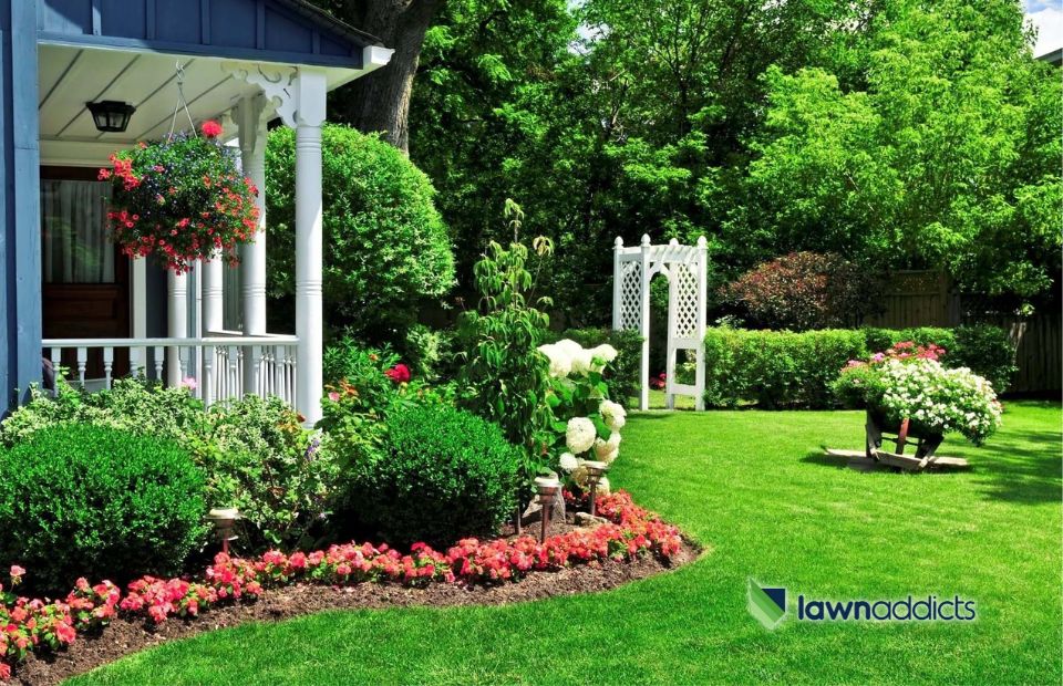 Tall Fescue RTF - Lawn Addicts