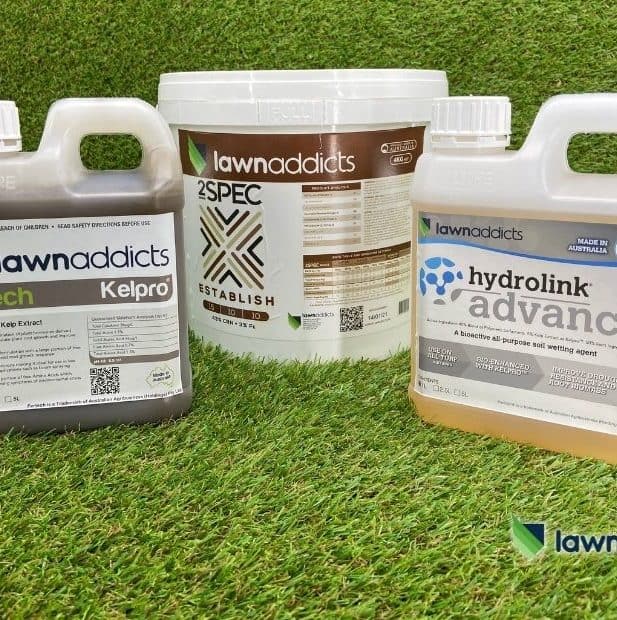 Pinnacle III (Single Cultivar Perennial Rye Grass) - Lawn Addicts