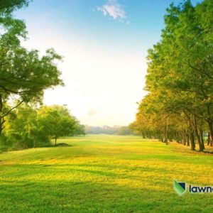 2Spec Establish 20kg - Fairway Grade Fertiliser - Lawn Addicts