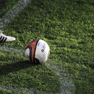 Pinnacle III (Single Cultivar Perennial Rye Grass) - Lawn Addicts