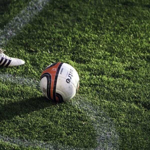 Tall Fescue RTF - Lawn Addicts