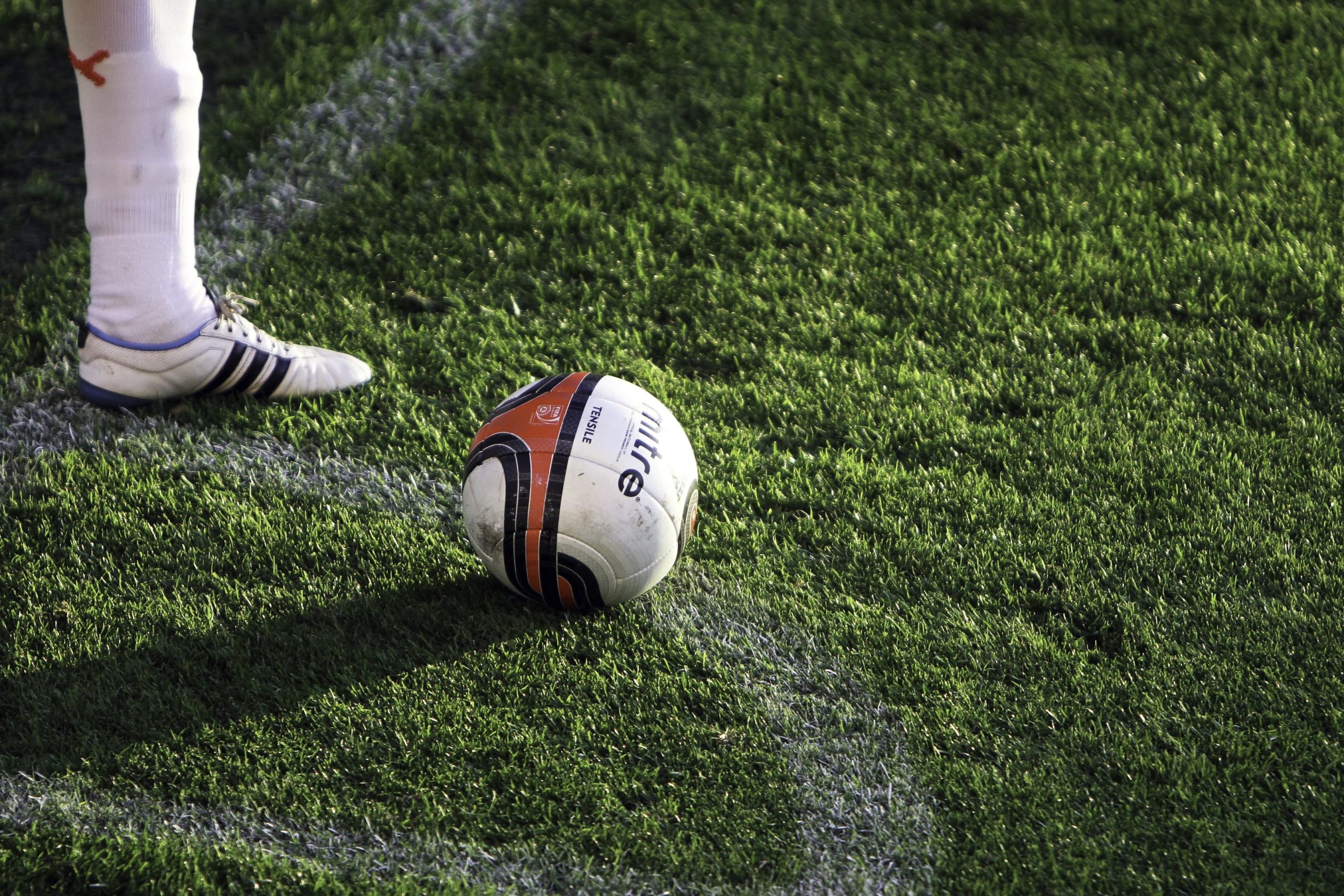 RPR (Regenerating Perennial Ryegrass) - Lawn Addicts