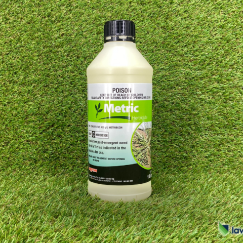 Amgrow Winter Grass Killer 100ml - Selective Herbicide - Lawn Addicts