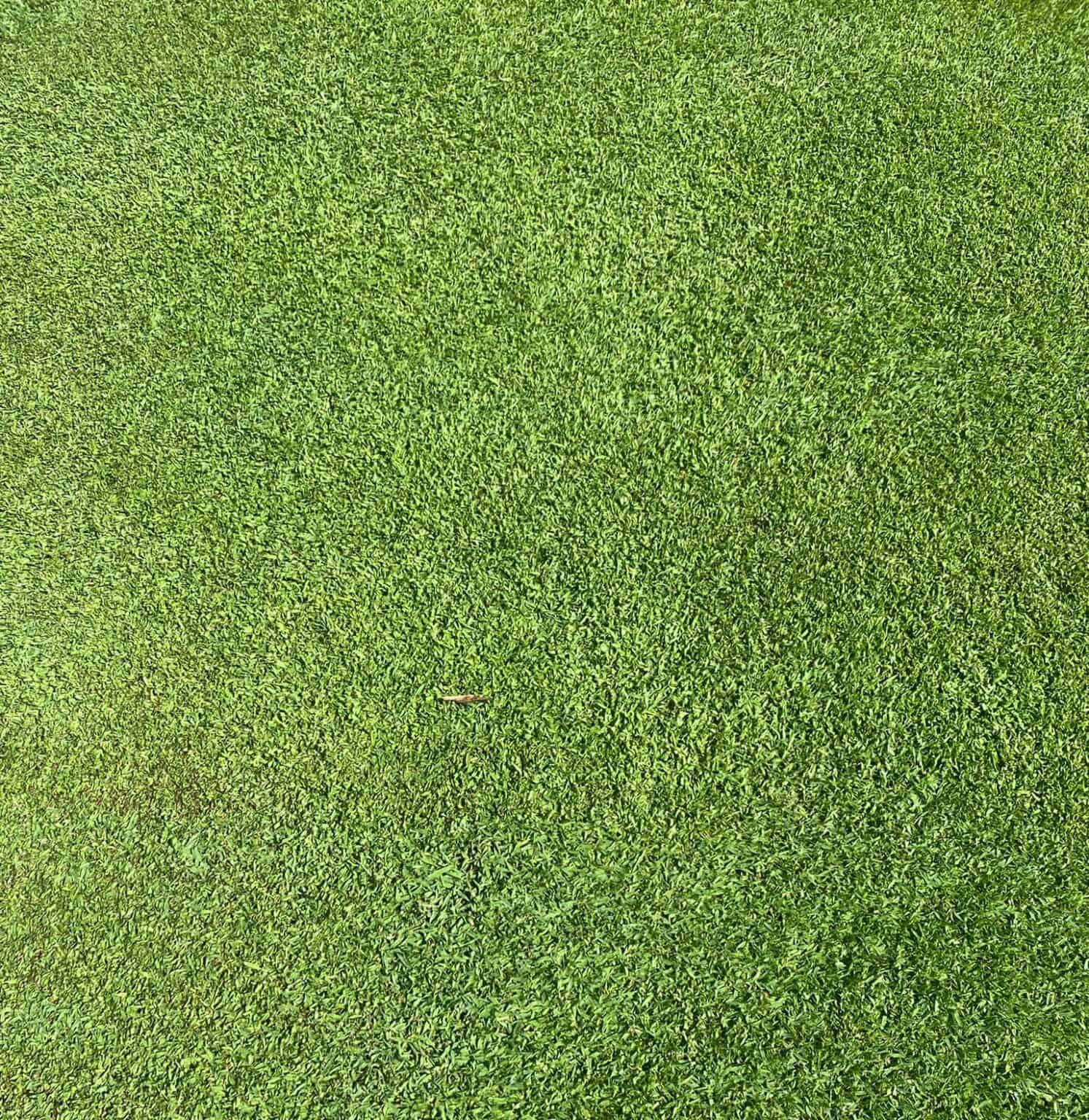 Blue Couch Plans - Lawn Addicts